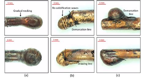 The Appearance Of Globules And Beads A Globules B Pabs And C Sabs