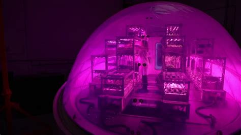 This 'biopod' could be used on Earth and in space