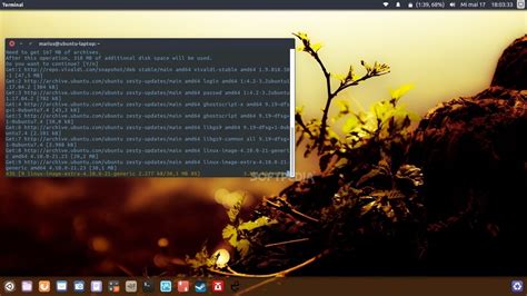 canonical outs major linux kernel security update for ubuntu 17 04 and 16 04 lts