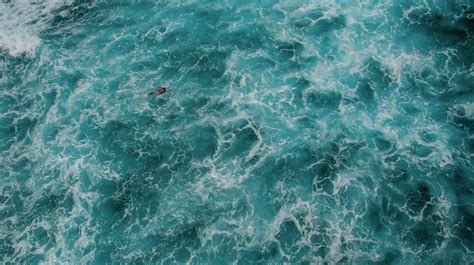 무료 이미지 바닷가 바다 물 자연 대양 조직 웨이브 서퍼 수중 서핑하다 푸른 수영 지구의 분위기 바람