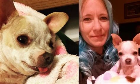 Lucys Horribly Rotten Teeth Will Kill Her But Mom Cant Afford The