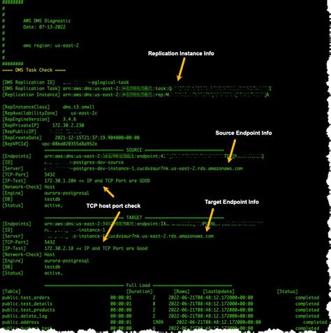 使用 Aws Dms 诊断支持 Ami Aws 数据库迁移服务