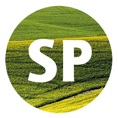 Descriptif du Sous Type SP Ennéagramme pratique