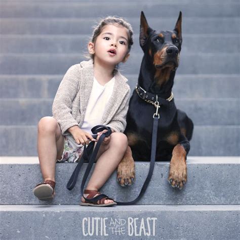213 Best Guardian At The Gate Doberman Pincher Images On Pinterest