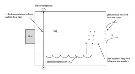 Physical Processes Of Charge And Interface States In Radiation Sensing Download Scientific