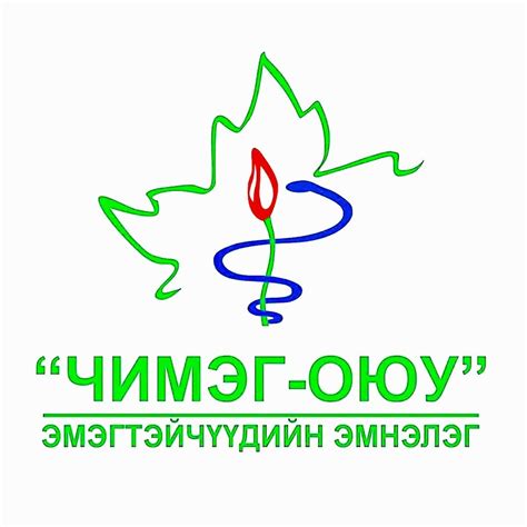 Чимэг Оюу Манай эмнэлгийн эрхэм зорилго МОНГОЛ УЛСЫН ХЭМЖЭЭНД ЭХ БОЛОН ЭМЭГТЭЙЧҮҮДЭД ҮЗҮҮЛЭХ