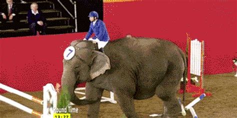 When I Use A Huge Library Just To Parse A Few Lines Of Text The Coding Love Programmer Humor