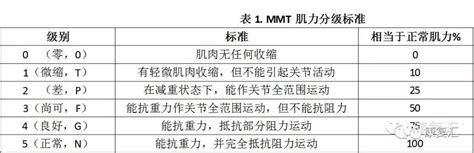 【康复手法】徒手肌力检查评估详解肌肉
