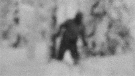 Russian Yeti The Killer Lives
