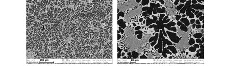 40ni 40al 20nb At Alloy Microstructures Synthesized By Combustion Download Scientific