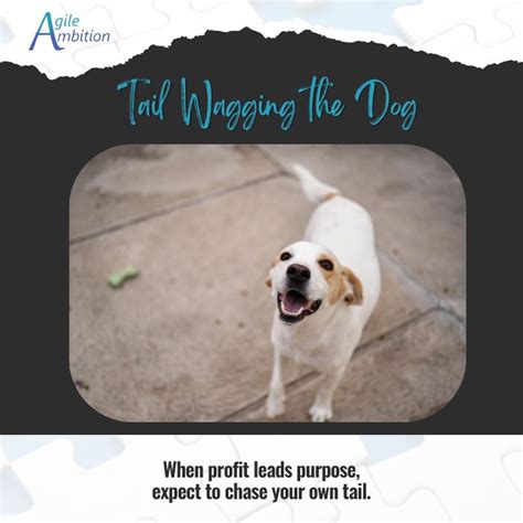 Why Chasing Revenue Is A Distraction Miranda Dulin Posted On The