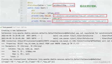 Mybatis Plus之映射篇（部分注解使用）autoresultmap True Csdn博客