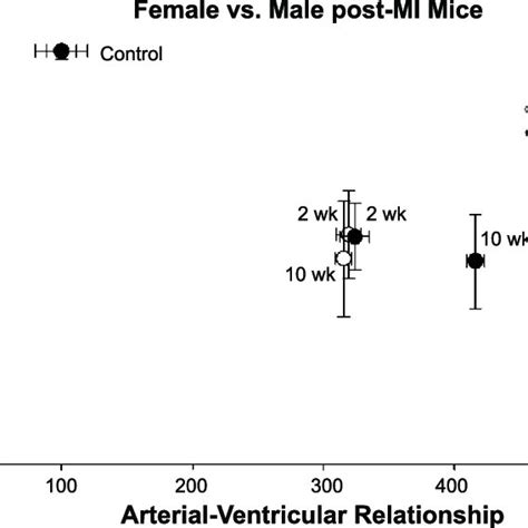 Sex Related Differences In Cardiovascular Function In Babe Adult Mice Download Scientific