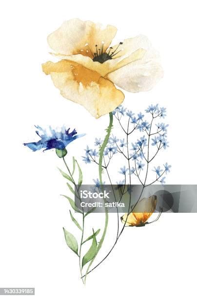 수채화는 흰색 배경에 꽃다발을 그렸습니다 파란색 노란색 야생화 녹색 가지 잎 관목에 대한 스톡 벡터 아트 및 기타 이미지 관목 꽃 식물 꽃다발 Istock