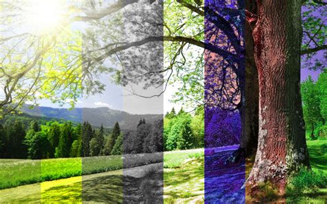 GitHub R Lyeh Archived Spot Cyclone Compact And Embeddable RGBA HSLA Library That Supports