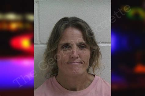 Sarah Clinton Decatur County Jail Bookings