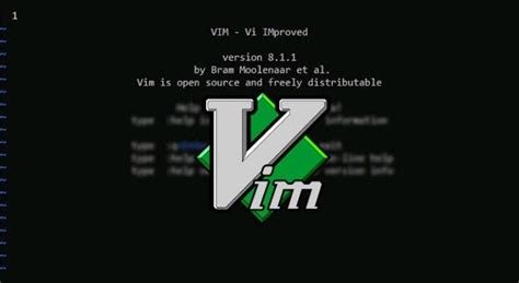 Vim Textediting Codeeditor Productivity Programming Techskills