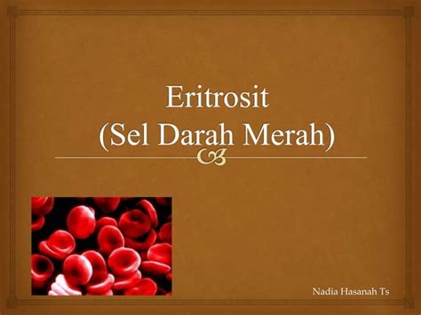 Eritrosit Sel Darah Merah PPTX