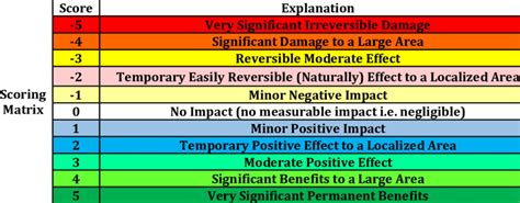 Scoring Matrix Guide To Individual Scores Preliminary Scoring Download Table
