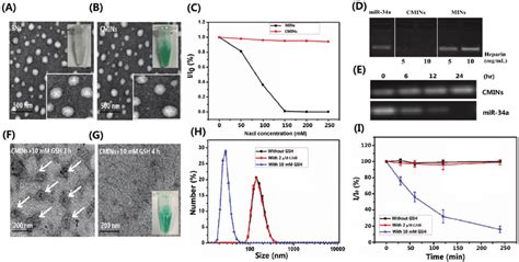 Physical Chemical Properties Of The Constructed Inter Polyelectrolyte