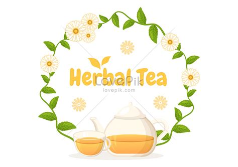 허브 티 카모마일 잎 삽화 일러스트 무료 다운로드 Lovepik
