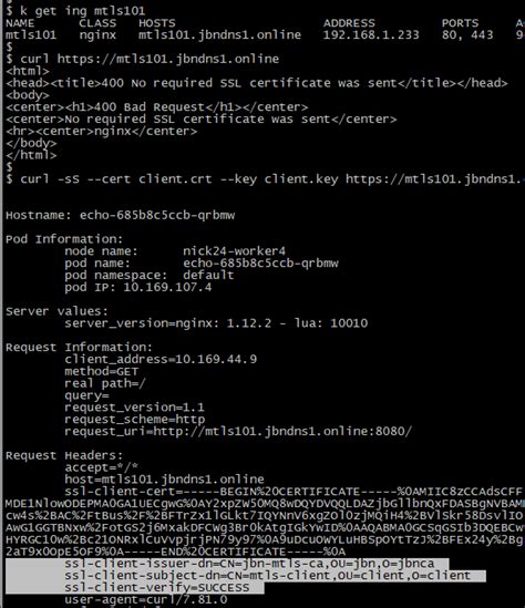 Learn How To Use Kubernetes External Ip Service Type By Mohamad Fadhil The Startup Medium