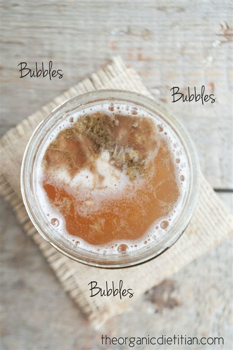 Diy Homemade Kombucha Probiotic Tea The Organic Dietitian