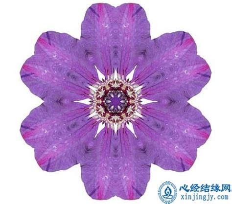 第五届世界佛教论坛将开幕 千余名代表与会心经结缘网