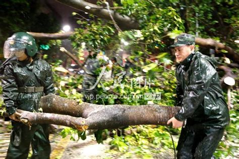 台风山竹未走 武警广东总队中山支队官兵彻夜奋战清理路障 人民图片网