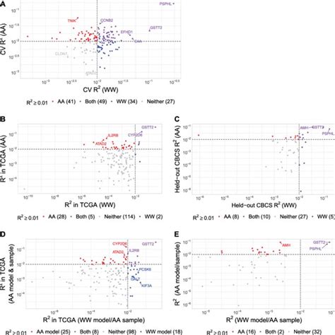 Predictive Performance Of Models In Cross Validation External Download Scientific Diagram