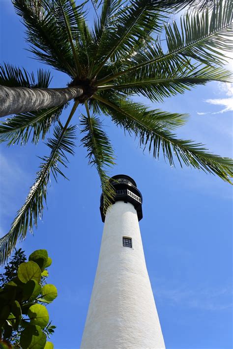 무료 이미지 바닷가 바다 연안 나무 대양 식물 꽃 휴가 탑 푸른 종범 손바닥 가족 1856x2784 97227 무료 이미지 Pxhere