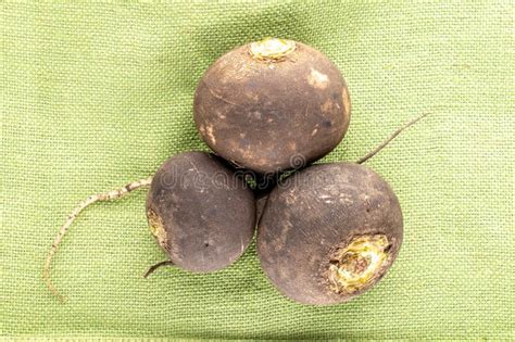 Table Beet With Ceramic Dishes Macro Isolated On White Black