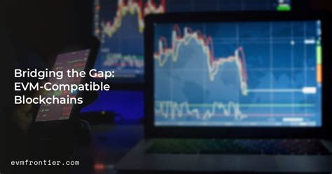 Bridging The Gap EVM Compatible Blockchains