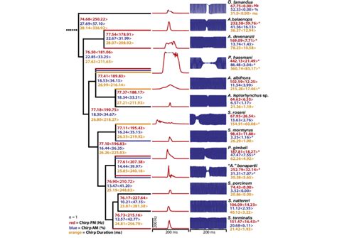 Ancestral State Reconstruction Of Chirp Amplitude Modulation Frequency Download Scientific