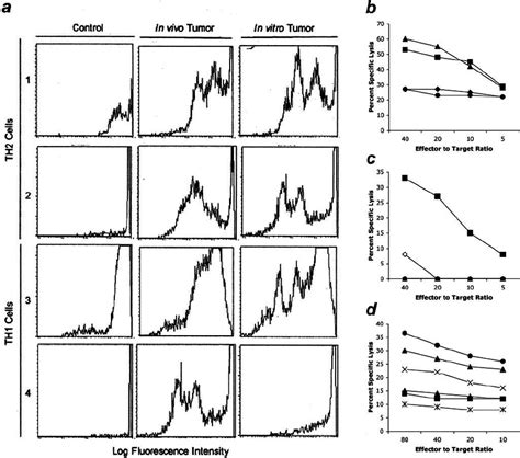 Function And Specificity Of Th1 Cell Lines A Th Cell Proliferation In