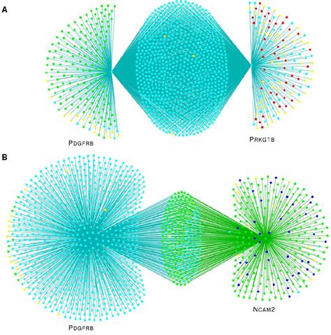 Differences In Neighborhood Structure Of The Sequence Similarity