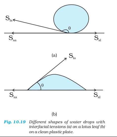 Vertical Alignment Of Button In Grid Column Solveforum