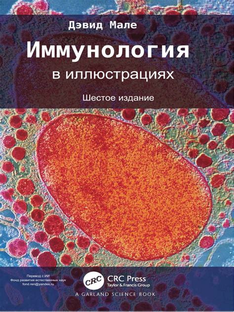 Immunologia V Illyustratsiakh Devid Male Pdf
