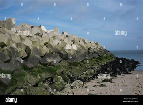 Dutch Dike By The North Sea Made Of Concrete Stones Netherlands Stock