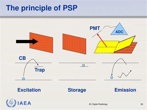PPT RADIATION PROTECTION IN DIAGNOSTIC AND INTERVENTIONAL RADIOLOGY PowerPoint Presentation