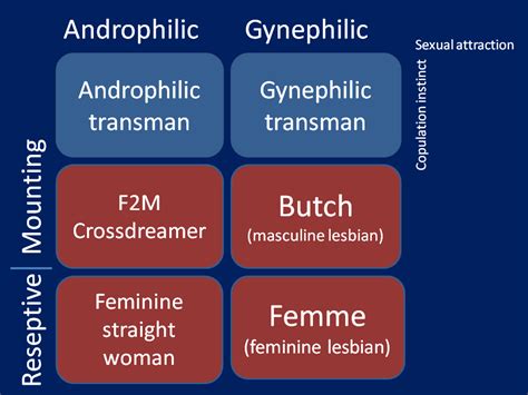 Crossdreamers The Female And Male Copulation Instincts 2