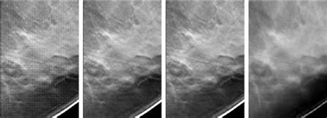Same As Fig After Iterations Download Scientific Diagram
