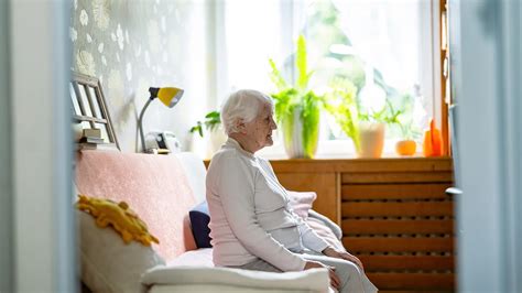 Applications Of Machine Learning For Computer Vision Chooch