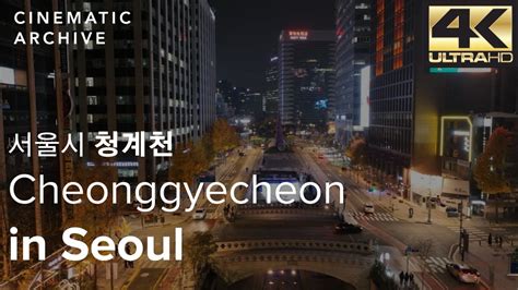 서울시 자그마한 자연 청계천 야간 드론 영상 Small Nature In Seoul Cheonggyecheon