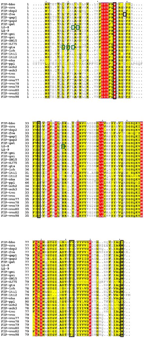 Sequence Alignment Of Fve Type Fips Table 1 Via Espript Download Scientific Diagram