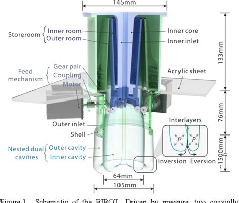 Figure 1 From Design And Modeling Of A Nested Bi Cavity Based Soft Growing Robot For Grasping In