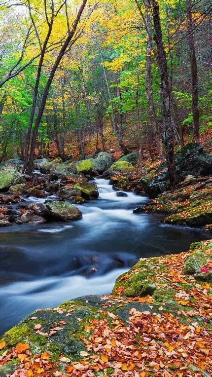 تصویر زمینه کوه بلند برفی و غروب آفتاب برای والپیپر گوشی