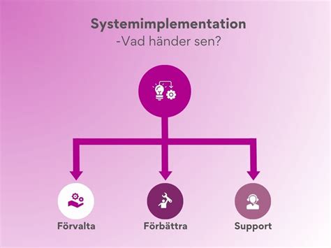 Vad Händer Efter En Implementering Av Nytt Affärssystem