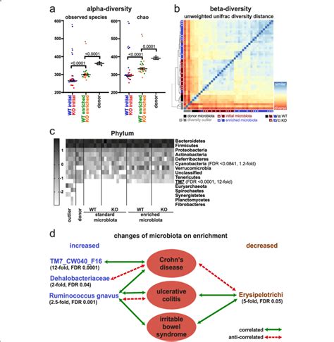 Microbiome And Smarcad1 Dependent Colitis Susceptibility A