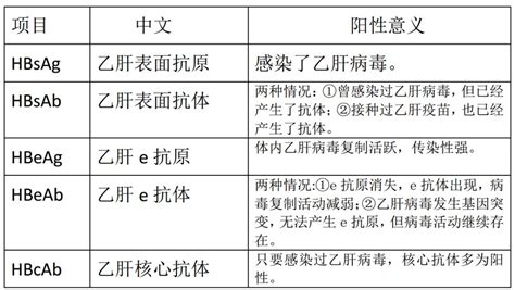 乙肝两对半你只会辨认大小三阳吗 丁香园